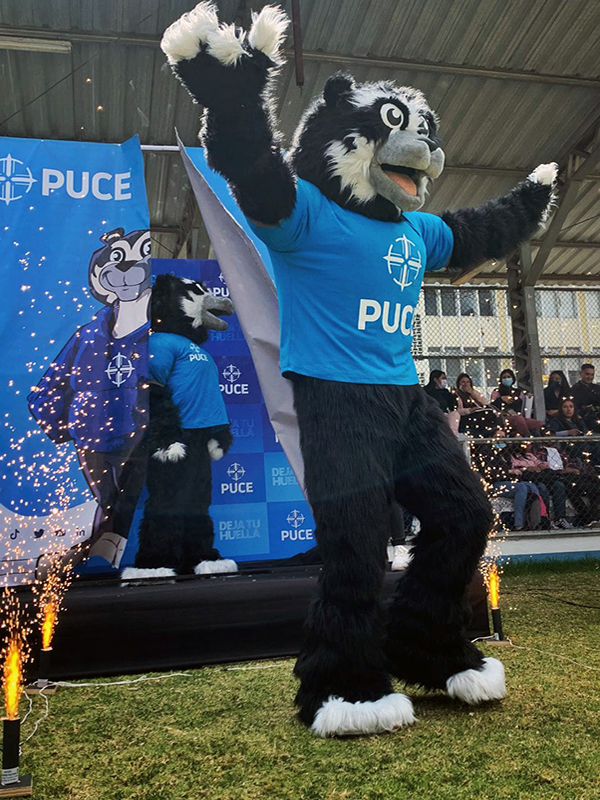 Primicias: Universidad Católica presenta al oso Aurelio, su nueva ...